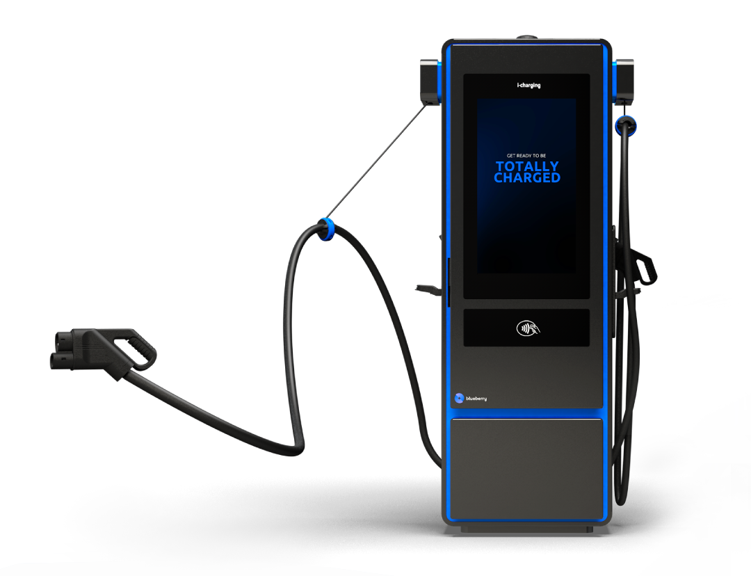 blueberry family - i-charging